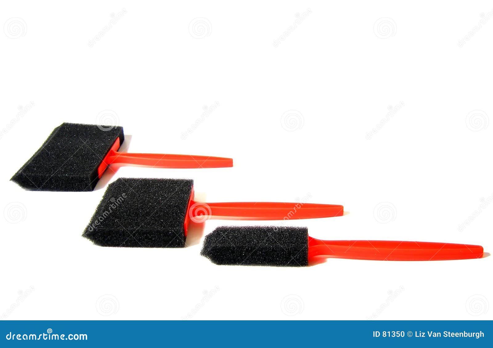 Sponge Applicators Picture. Image: 81350