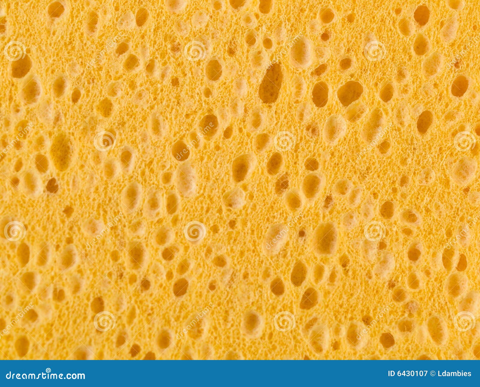Sponge background stock image. Image of toiletries, kitchen - 6430107