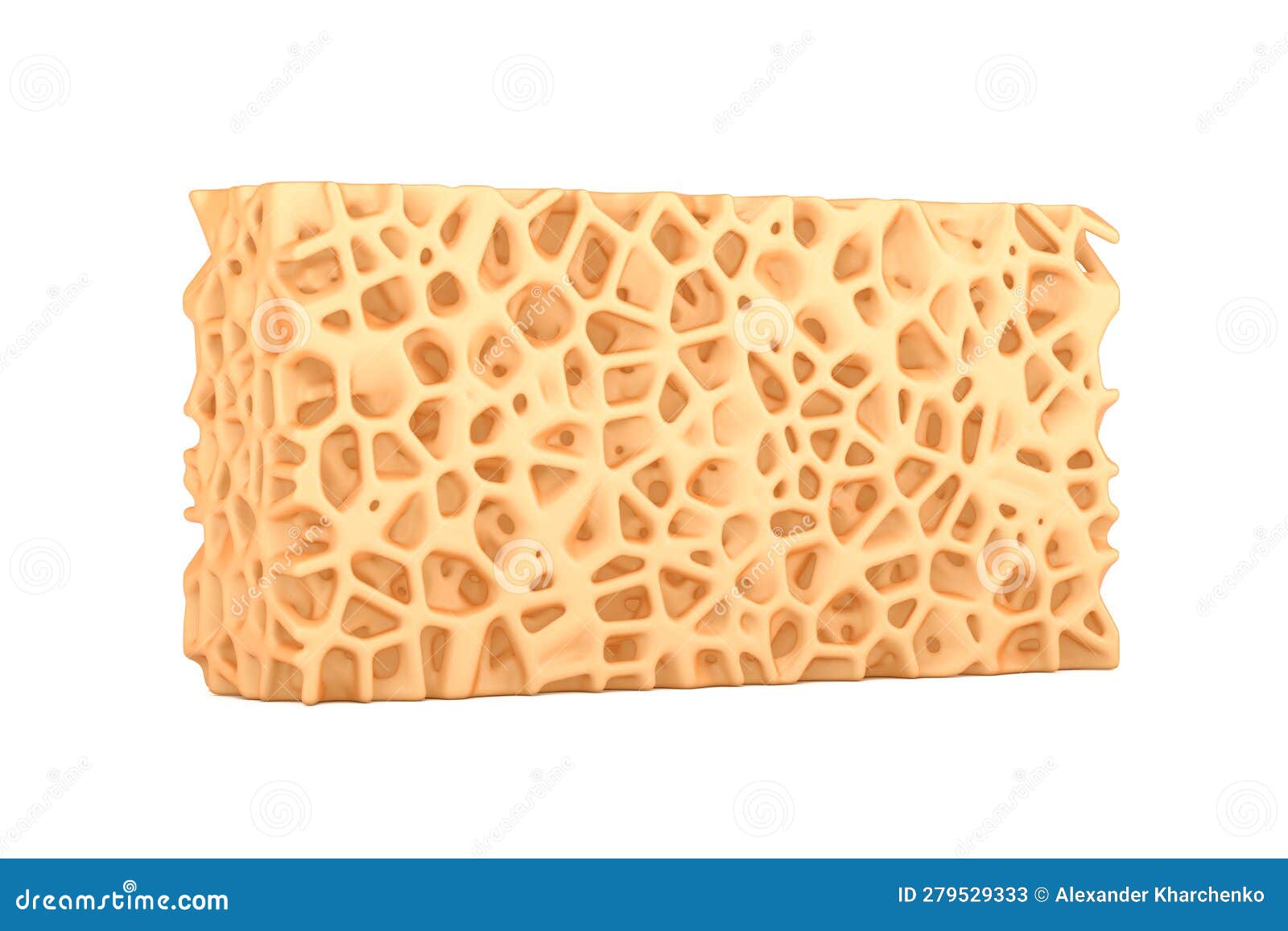 Sponge Bone Structure Medical Texture Block. 3d Rendering Stock ...