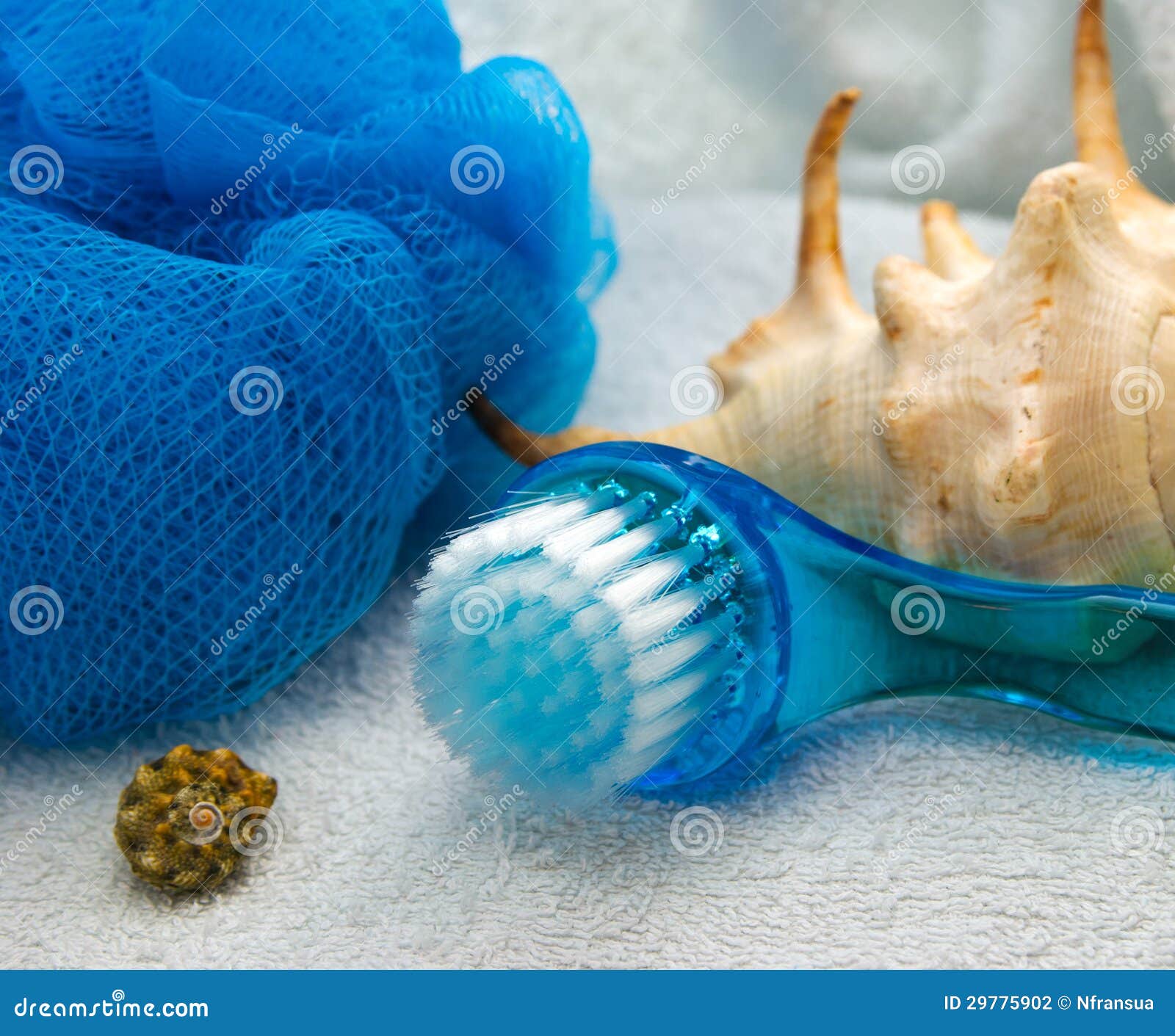 Sponge, brush, shells stock photo. Image of lifestyle - 29775902