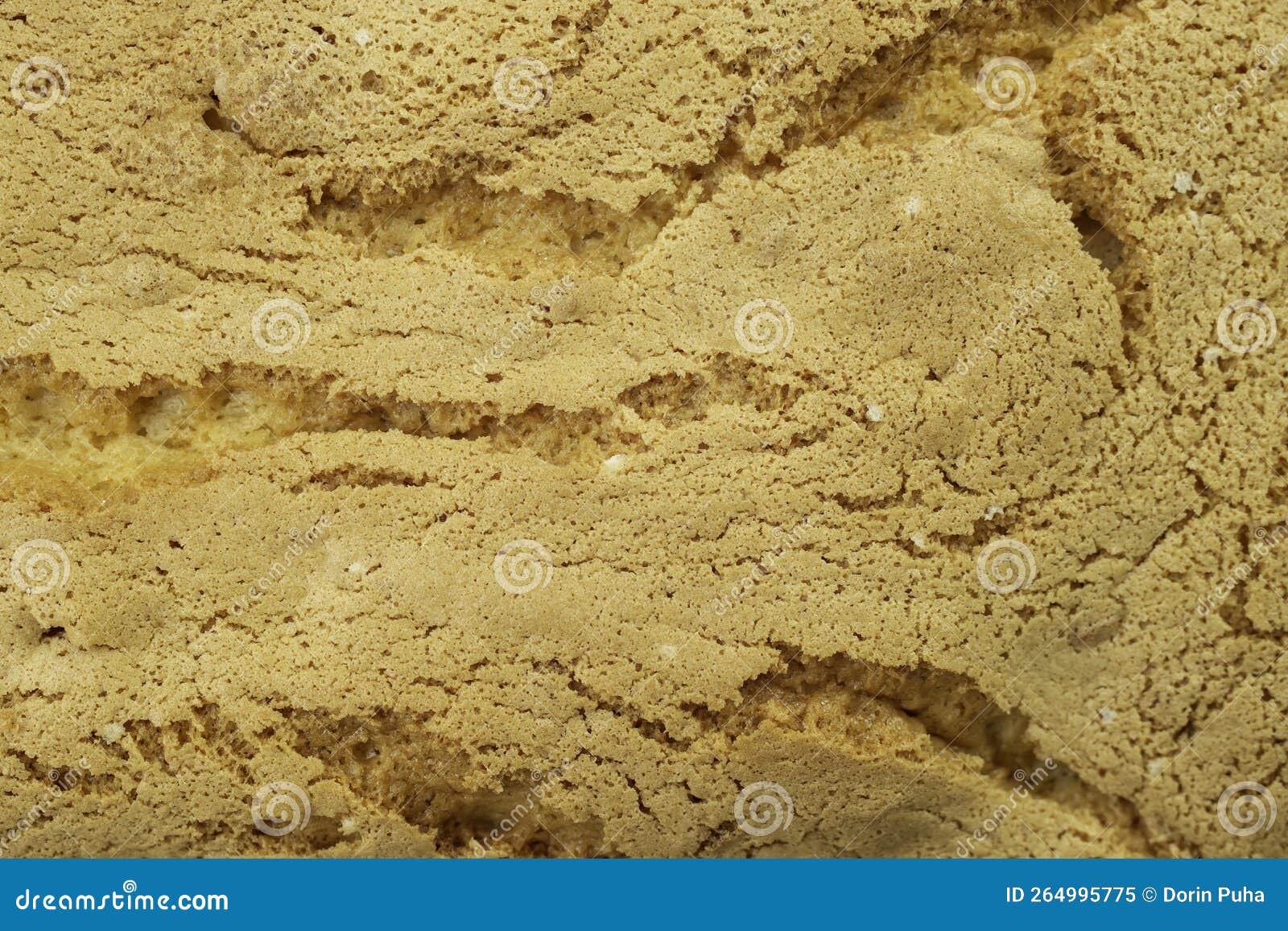 Sponge Cake Crust Texture with Cracks, Soft Focus Stock Image - Image ...