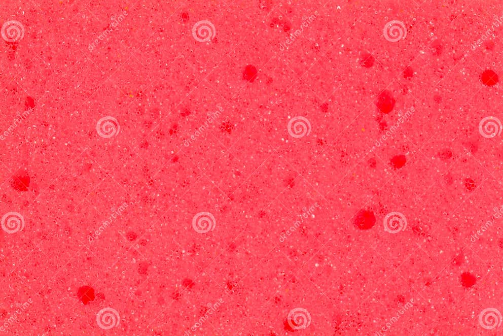 Sponge cleaner red stock photo. Image of sanitation - 202938176