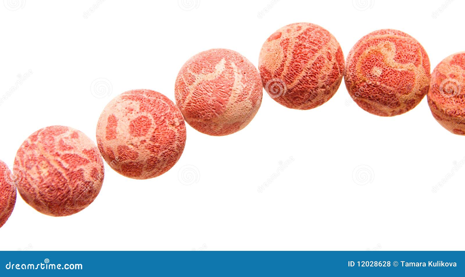 Sponge coral beads stock photo. Image of holes, isolated - 12028628