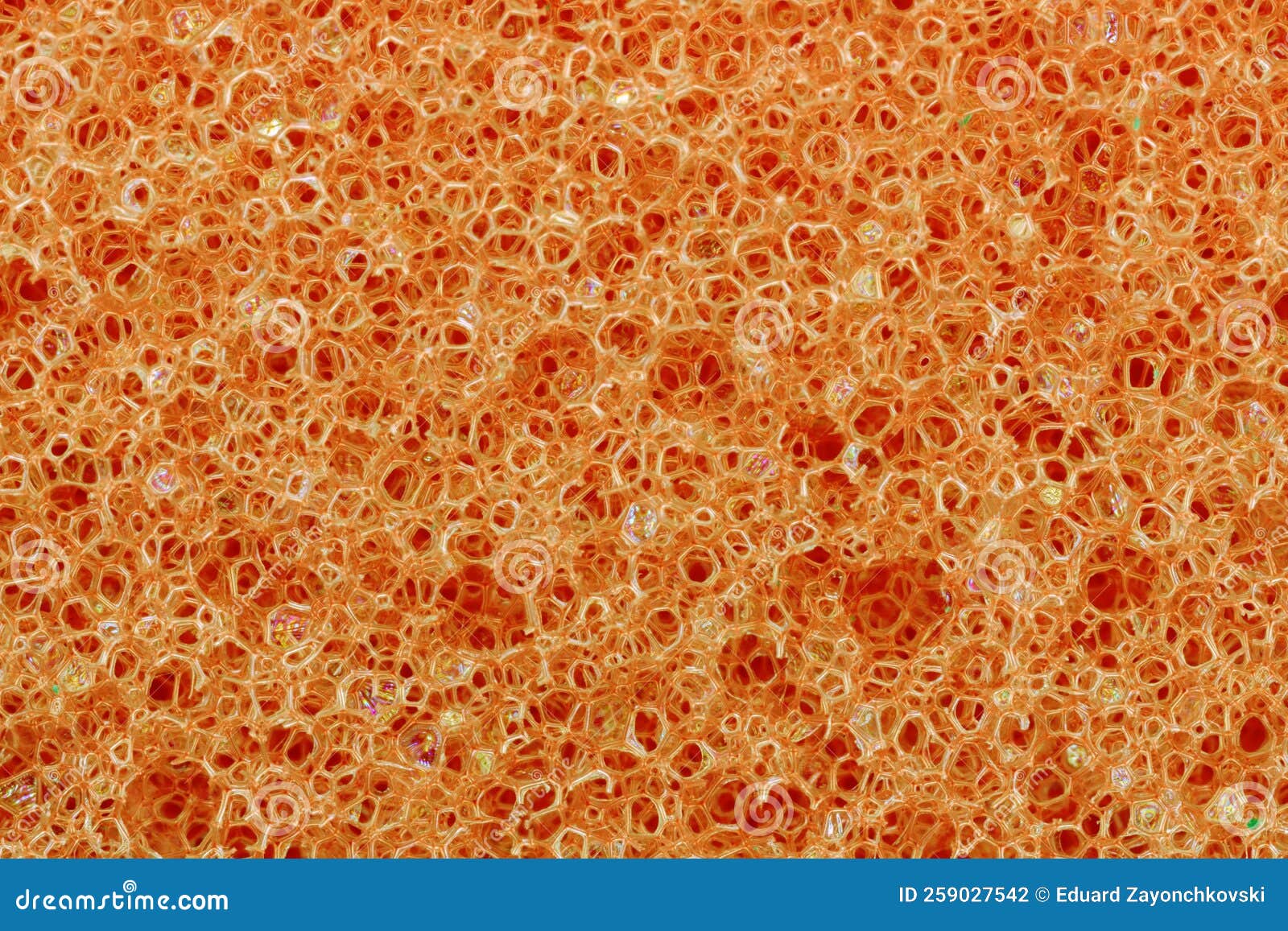 Sponge Detail Texture, Sponge Texture Background Stock Photo - Image of ...