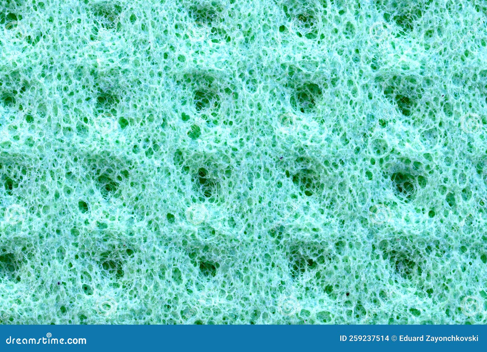 Sponge Detail Texture, Sponge Texture Background Stock Photography ...