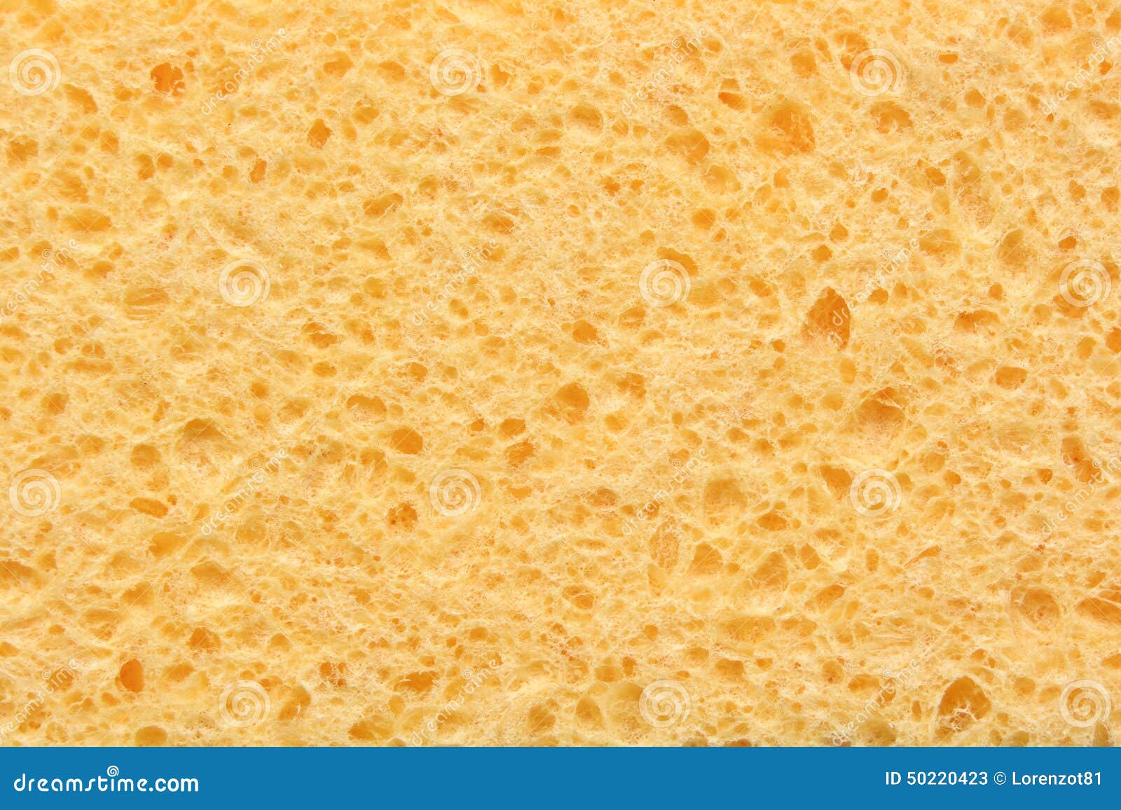 Sponge for dishes texture stock image. Image of housework - 50220423