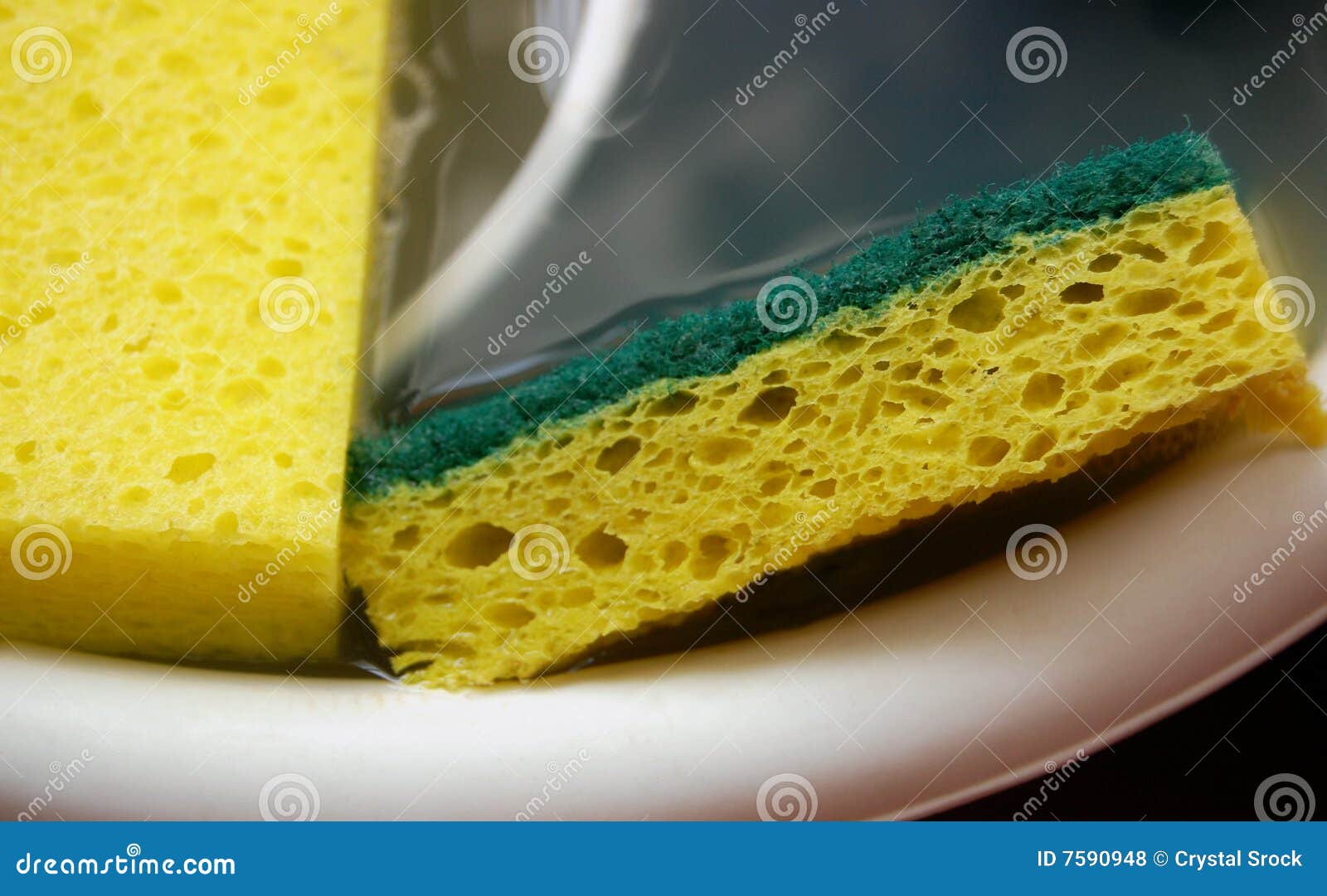 Sponge in Dishpan stock photo. Image of spring, sponges - 7590948