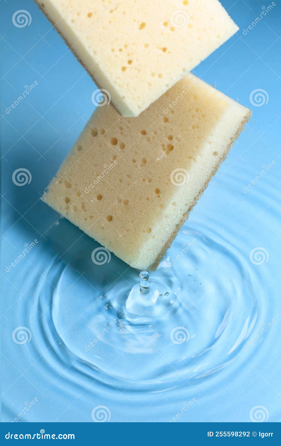 The Sponge Falls into the Water Stock Photo - Image of clean, smooth ...
