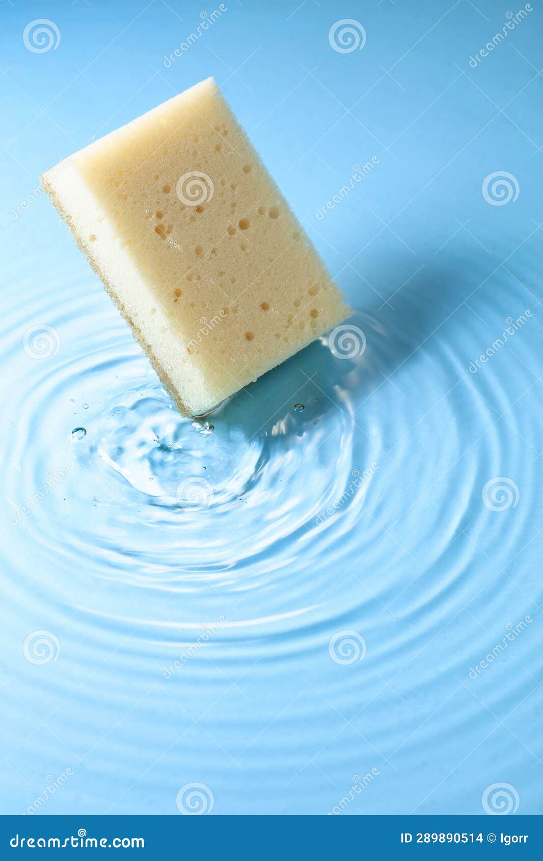 The Sponge Falls into the Water Stock Illustration - Illustration of ...
