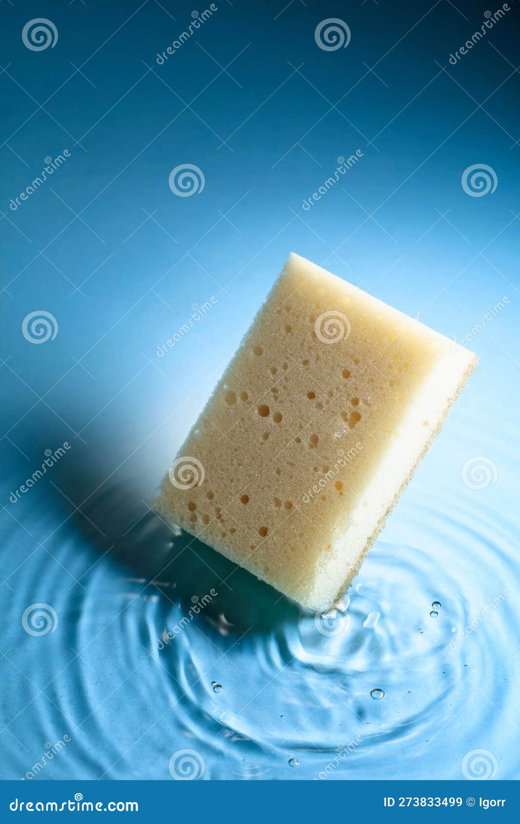 The Sponge Falls into the Water Stock Image - Image of sponge, hygiene ...