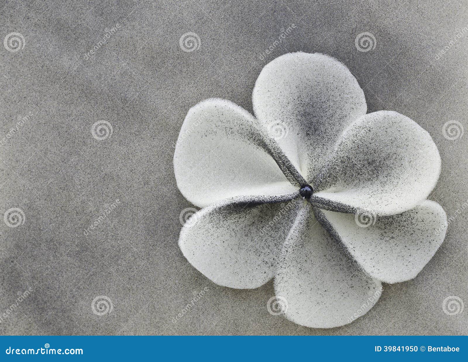 Sponge flower decoration stock photo. Image of clipping - 39841950
