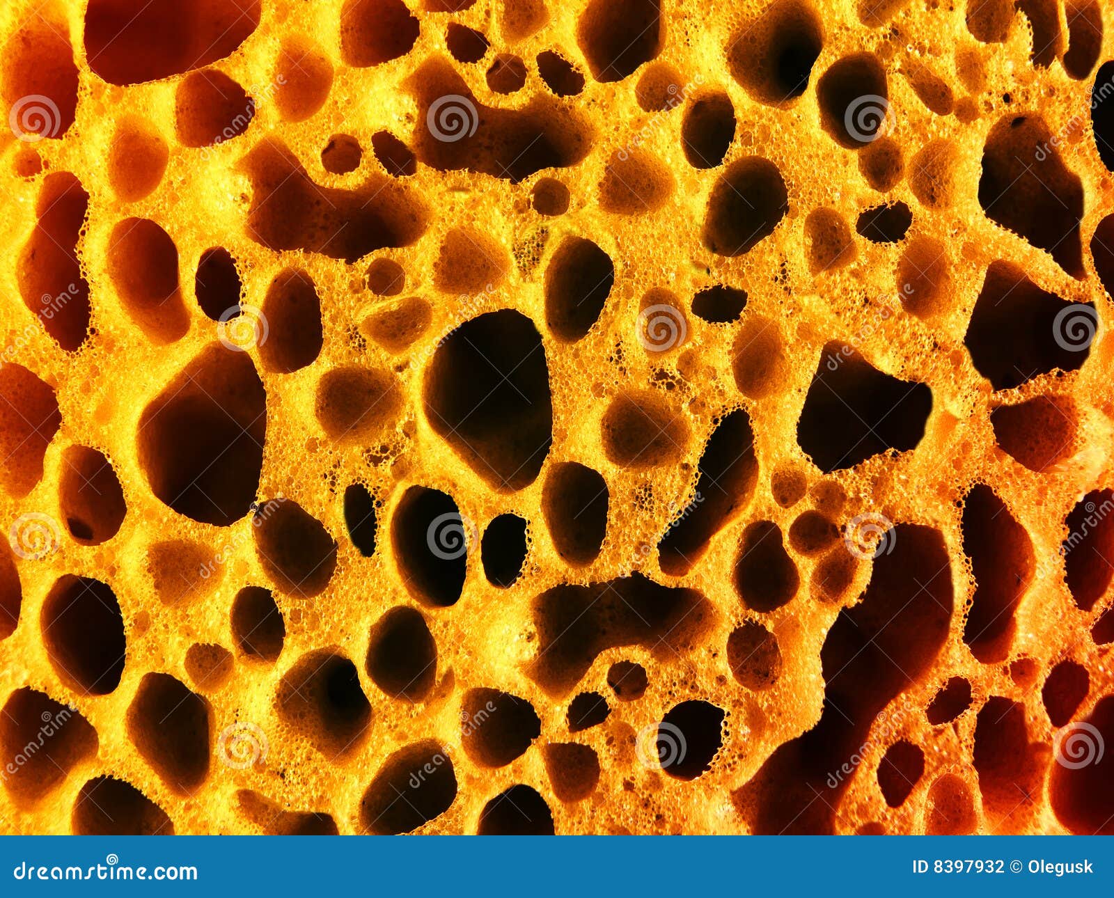 Sponge from foam rubber stock photo. Image of abstract - 8397932