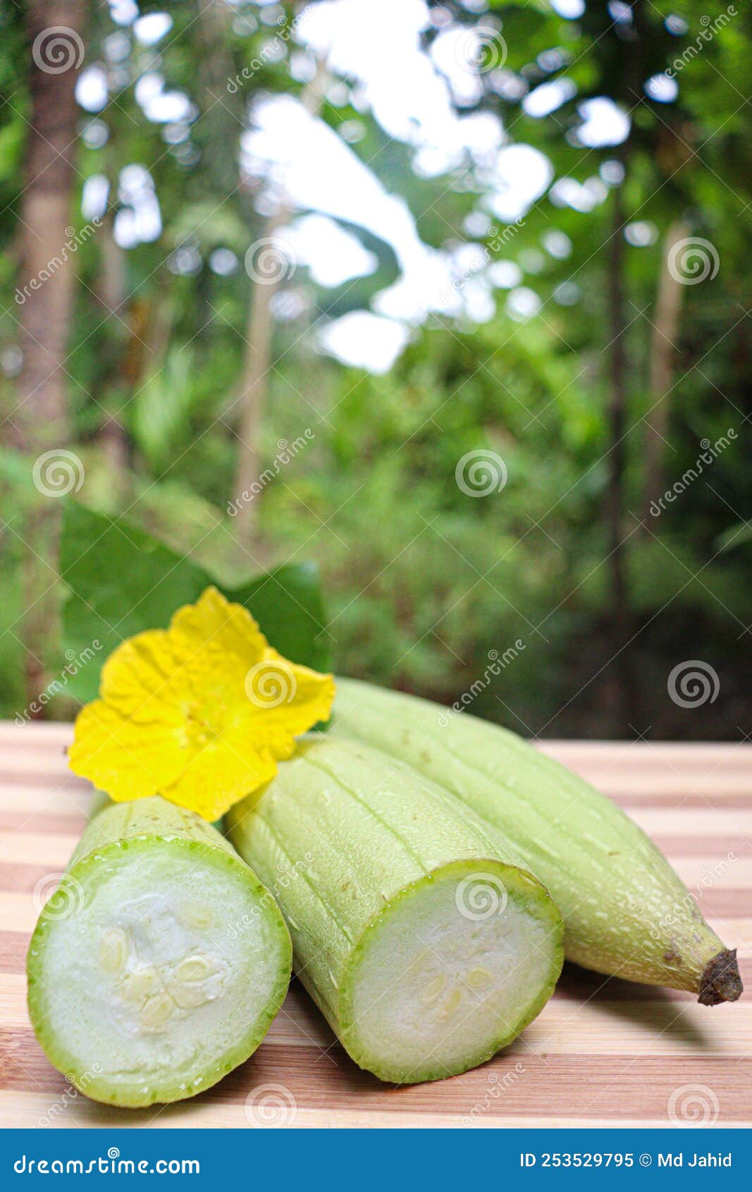 Sponge Gourd with Flower and Leaf Stock Image - Image of food ...