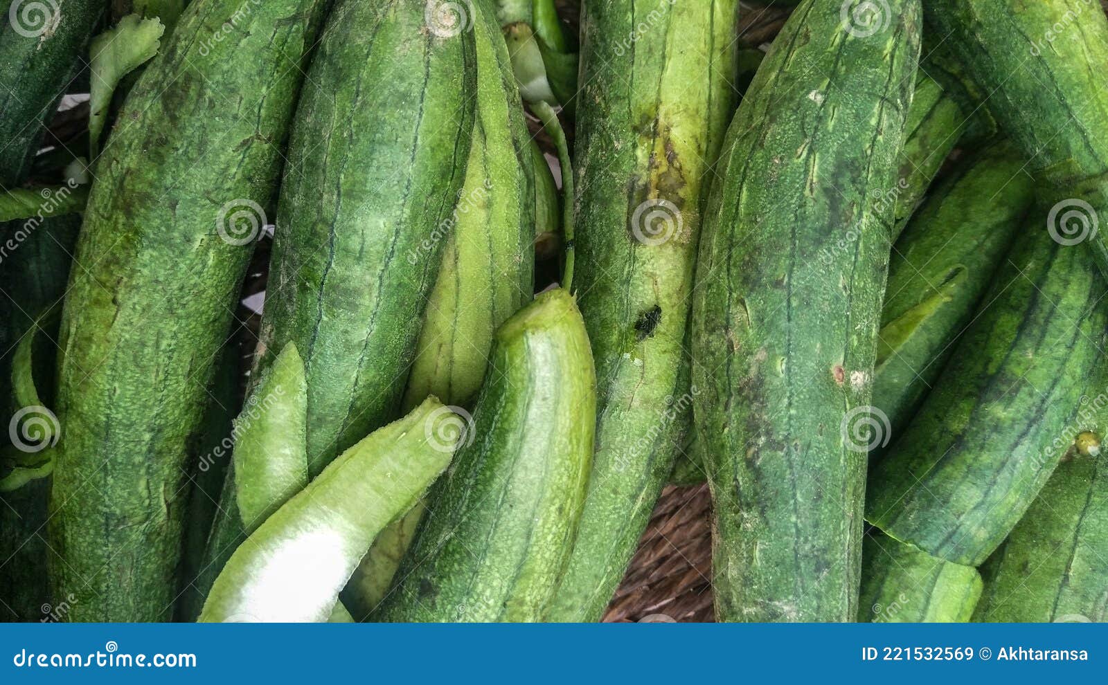 Sponge Gourd or Sweet Gourd Stock Image - Image of organic, lunch ...