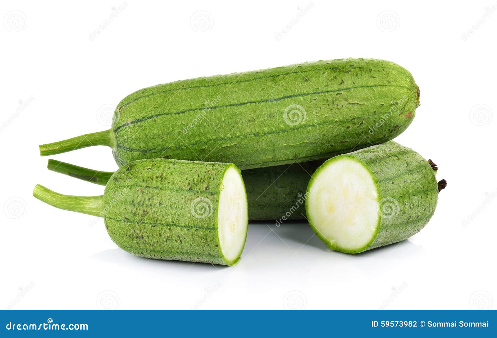 Sponge Gourd Smooth Luffa Plantation Royalty-Free Stock Image ...