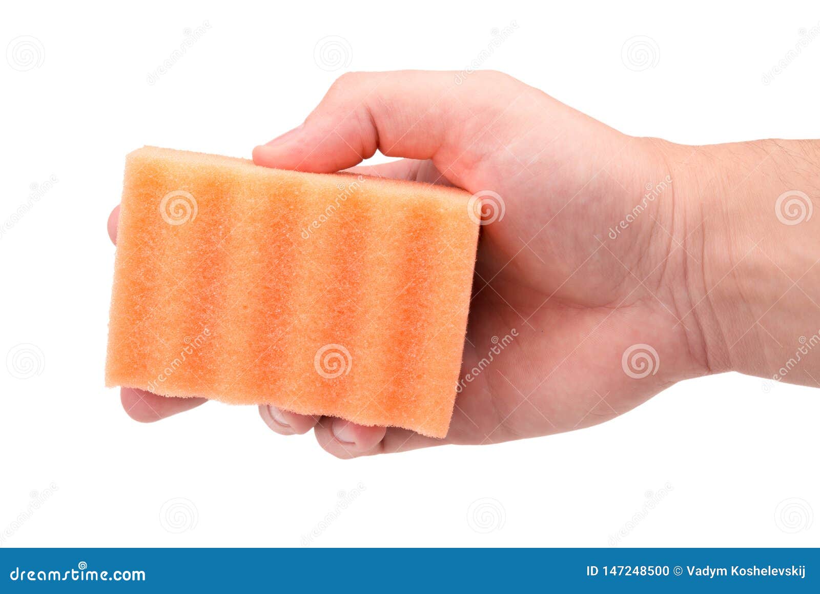 Sponge in hand stock photo. Image of tool, sponge, work - 147248500