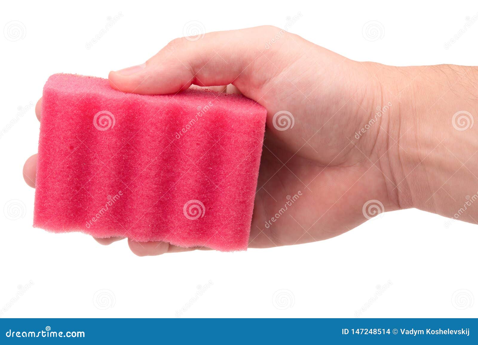 Sponge in hand stock photo. Image of white, porous, soft - 147248514
