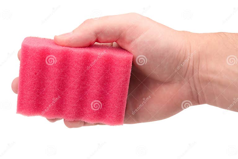 Sponge in hand stock photo. Image of white, porous, soft - 147248514