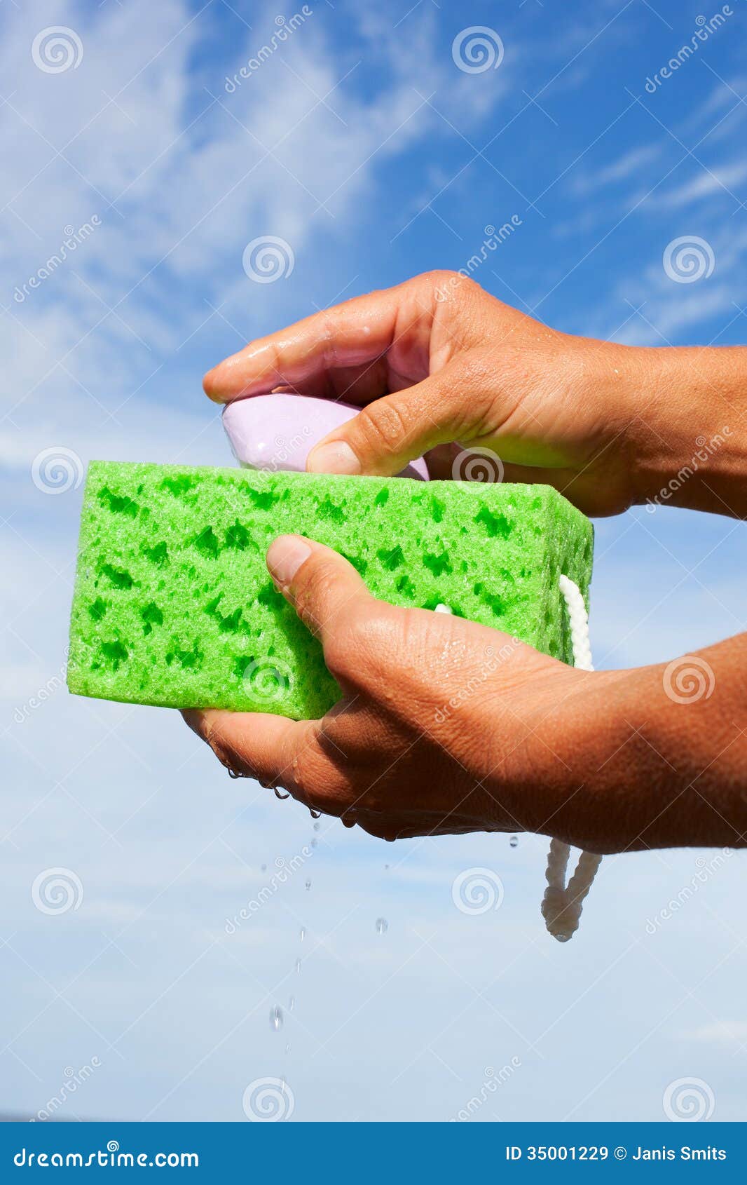 Sponge in hands. stock image. Image of purple, wipe, household - 35001229