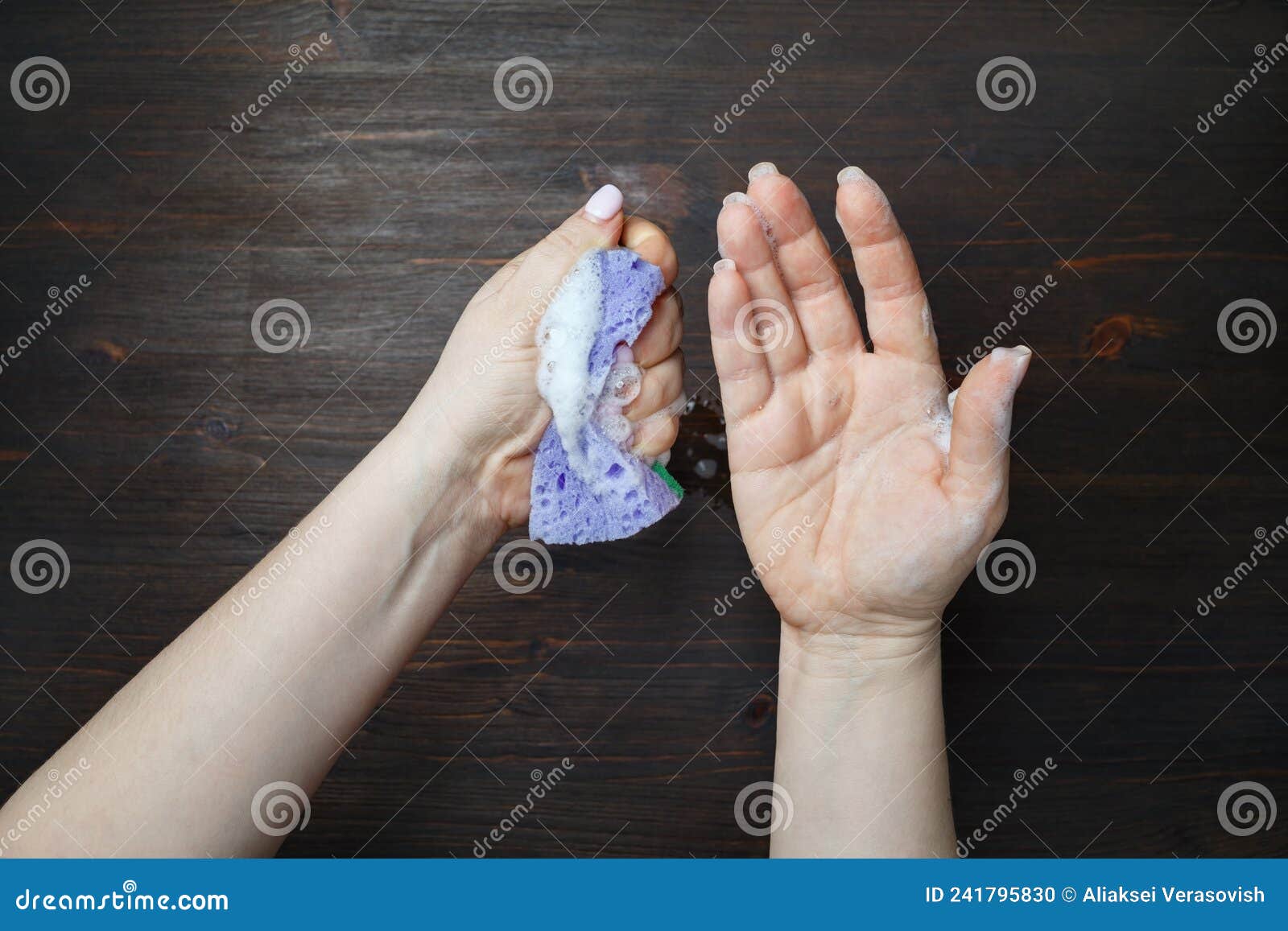 Sponge in hands stock photo. Image of antiseptic, laundered - 241795830