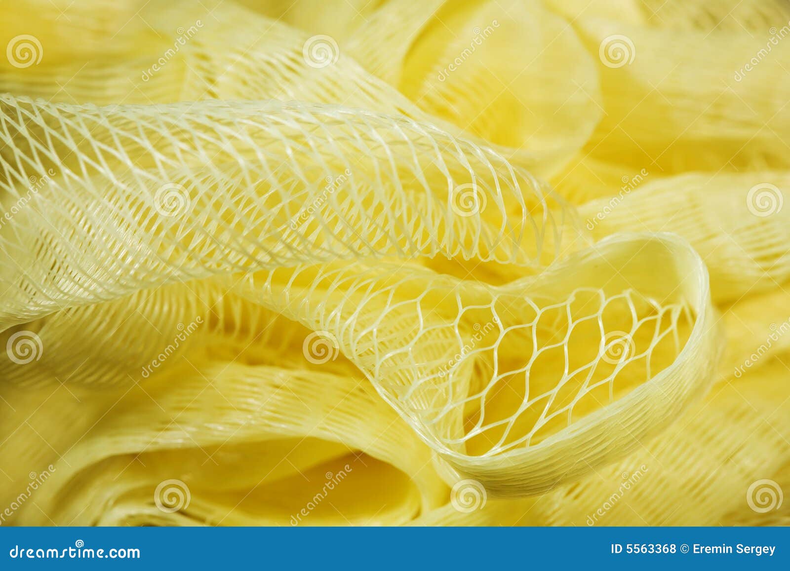 Sponge,macro stock photo. Image of hygienic, macro, frame - 5563368