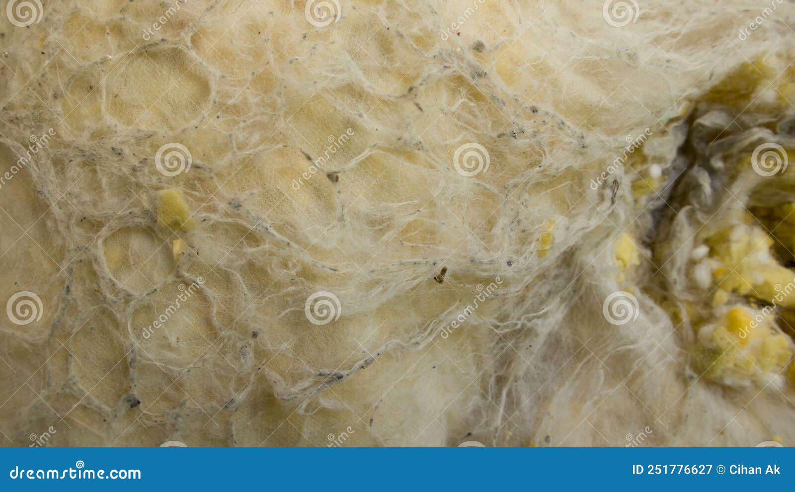 Sponge Pillow Inner Fragmented Scattered Stock Image - Image of ...