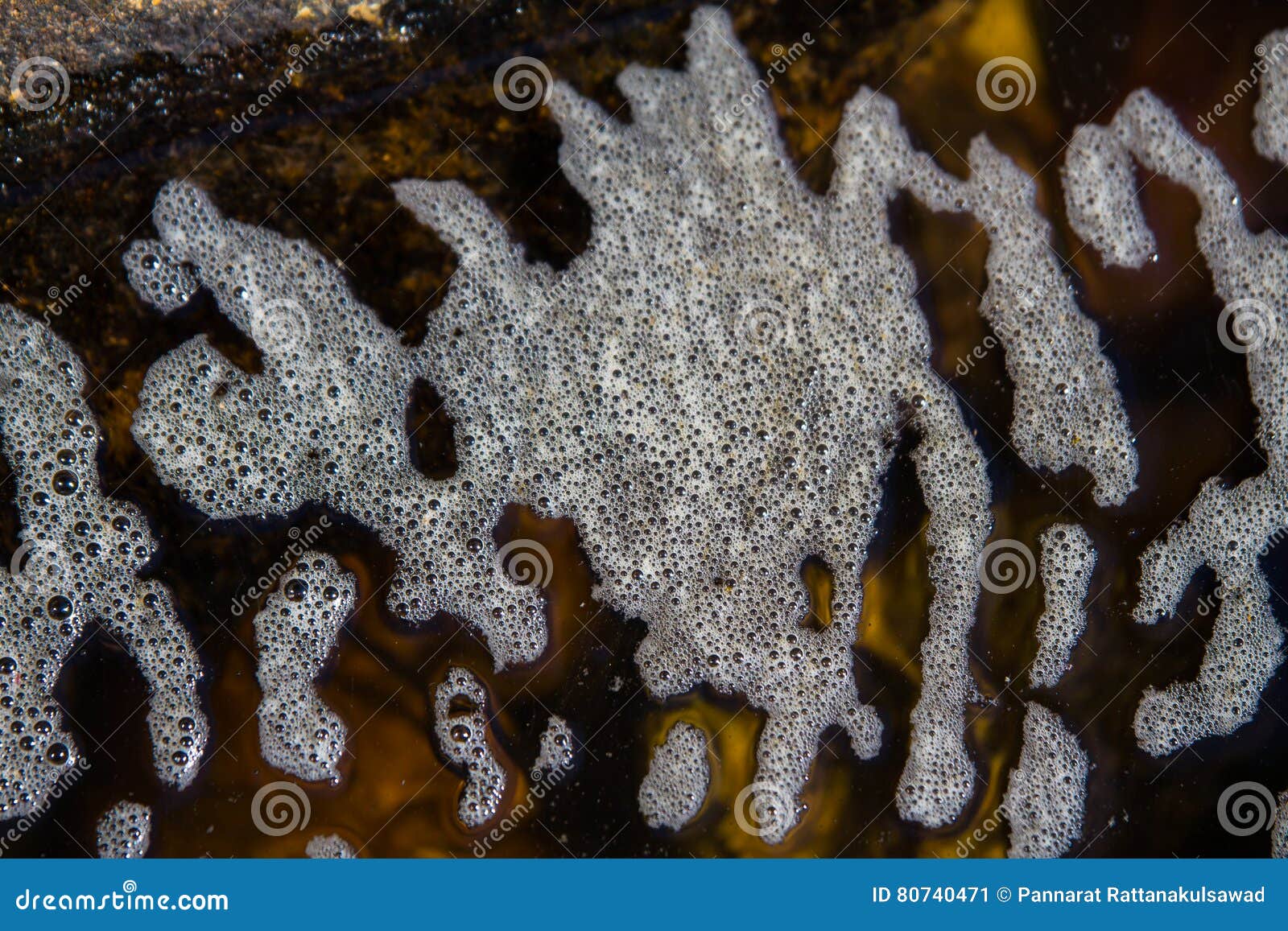 Abstract Sponge River Stock Photos - Free & Royalty-Free Stock Photos ...