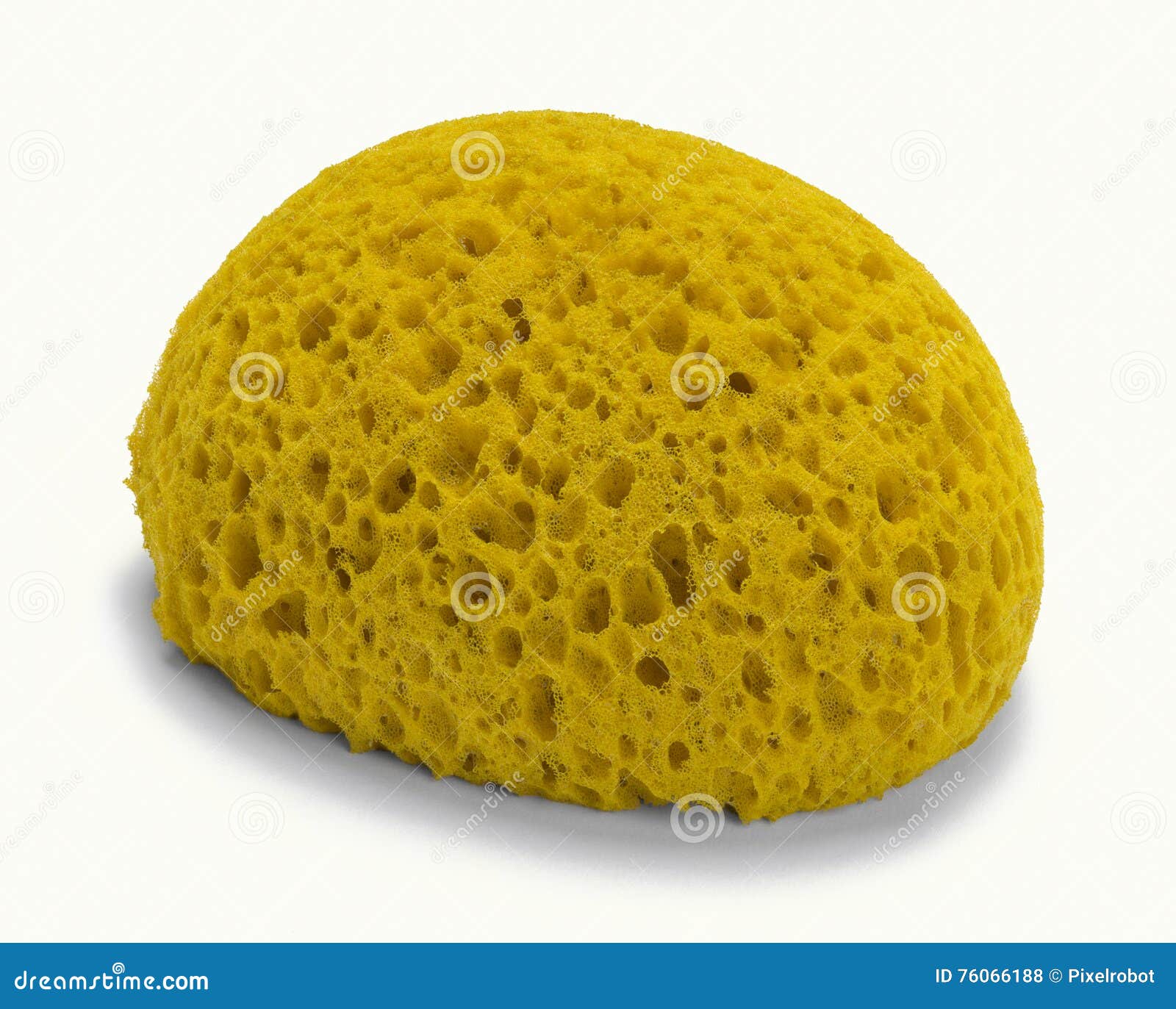 Sponge stock photo. Image of natural, ideas, concepts - 76066188