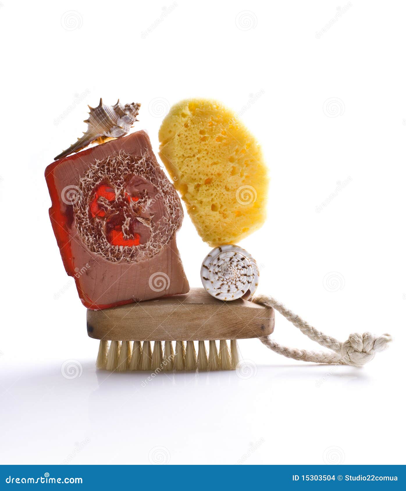 Sponge shell soap stock photo. Image of brush, nature - 15303504