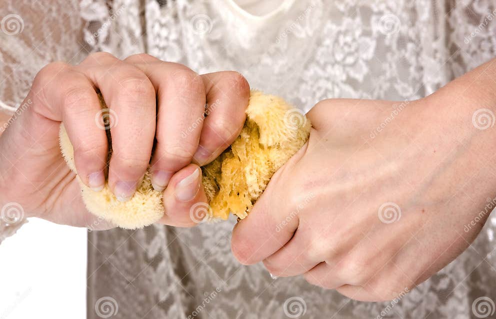 Sponge squeezing stock image. Image of hands, finger - 13628459