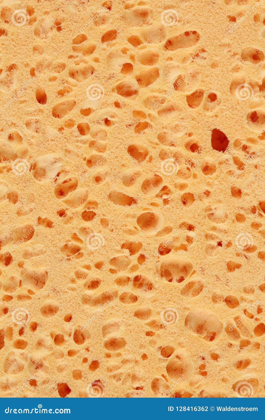 Sponge Structure Texture Background Royalty-Free Stock Photography ...