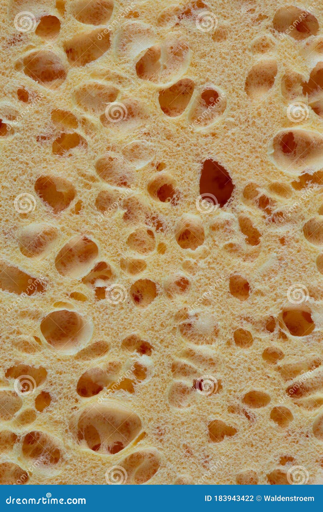 Sponge Structure Texture Background Royalty-Free Stock Photography ...