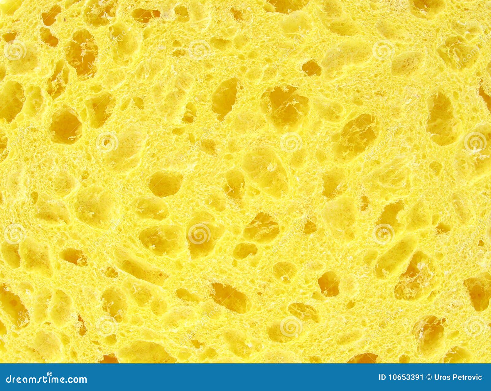 Sponge surface stock image. Image of macro, cleaning - 10653391