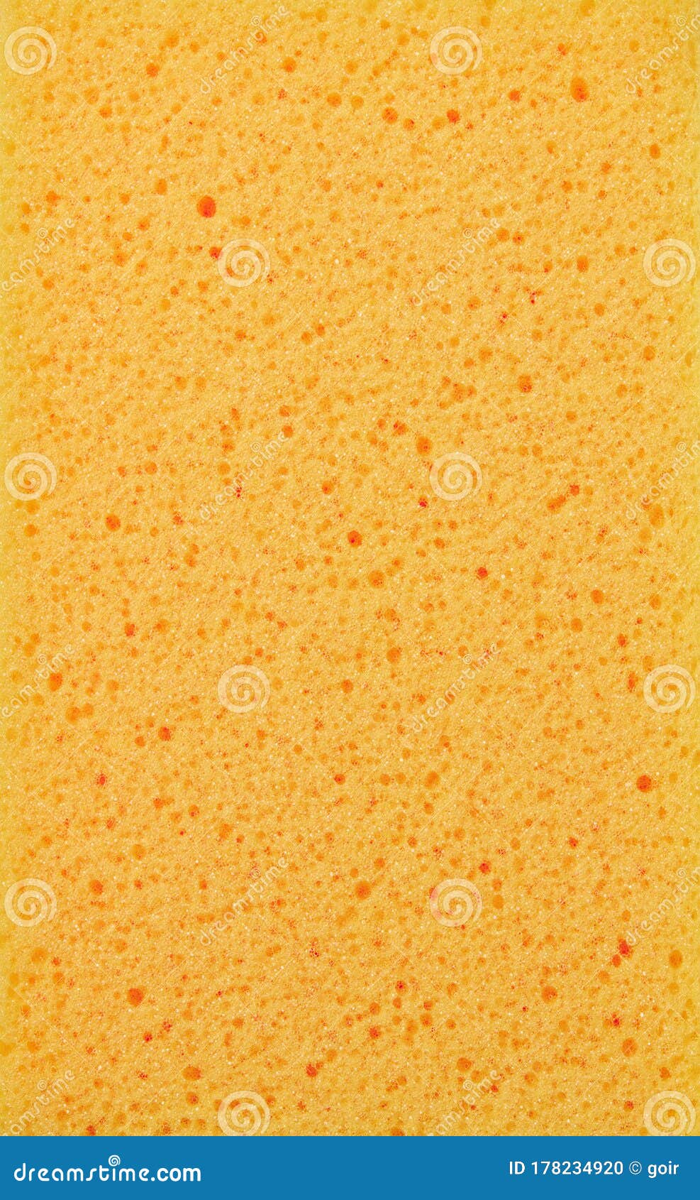 Sponge surface close-up stock photo. Image of hygiene - 178234920