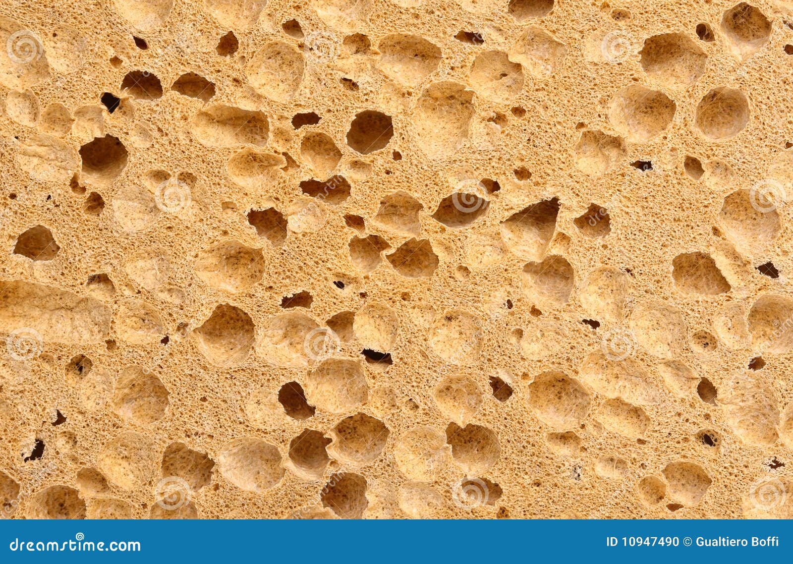 Sponge texture stock photo. Image of closeup, natural - 10947490
