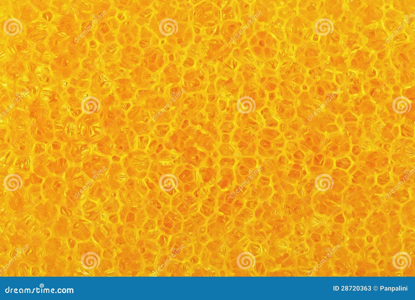 Sponge Texture stock image. Image of sponge, freshness - 28720363