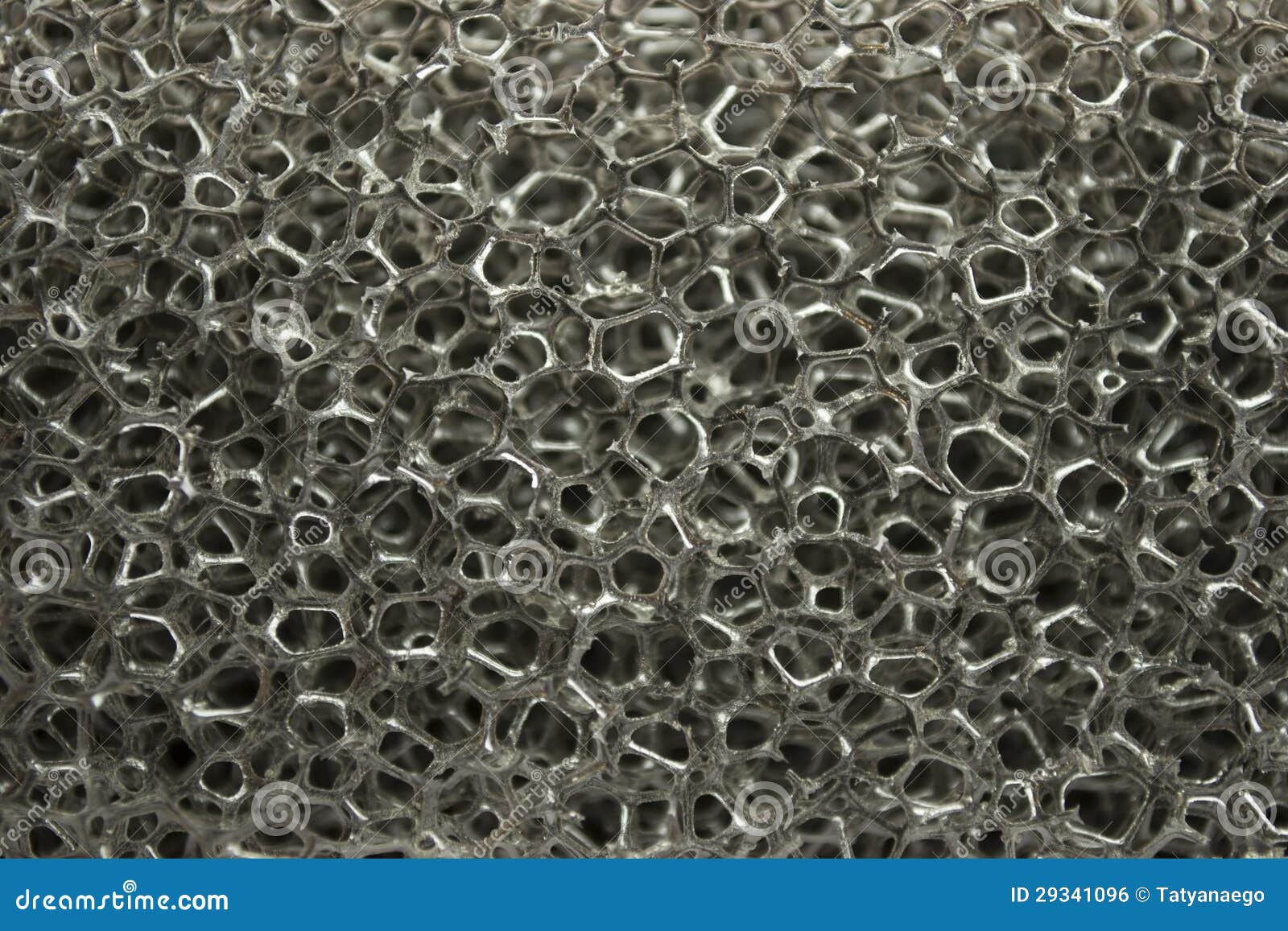 Sponge texture stock photo. Image of monochrome, sponge - 29341096