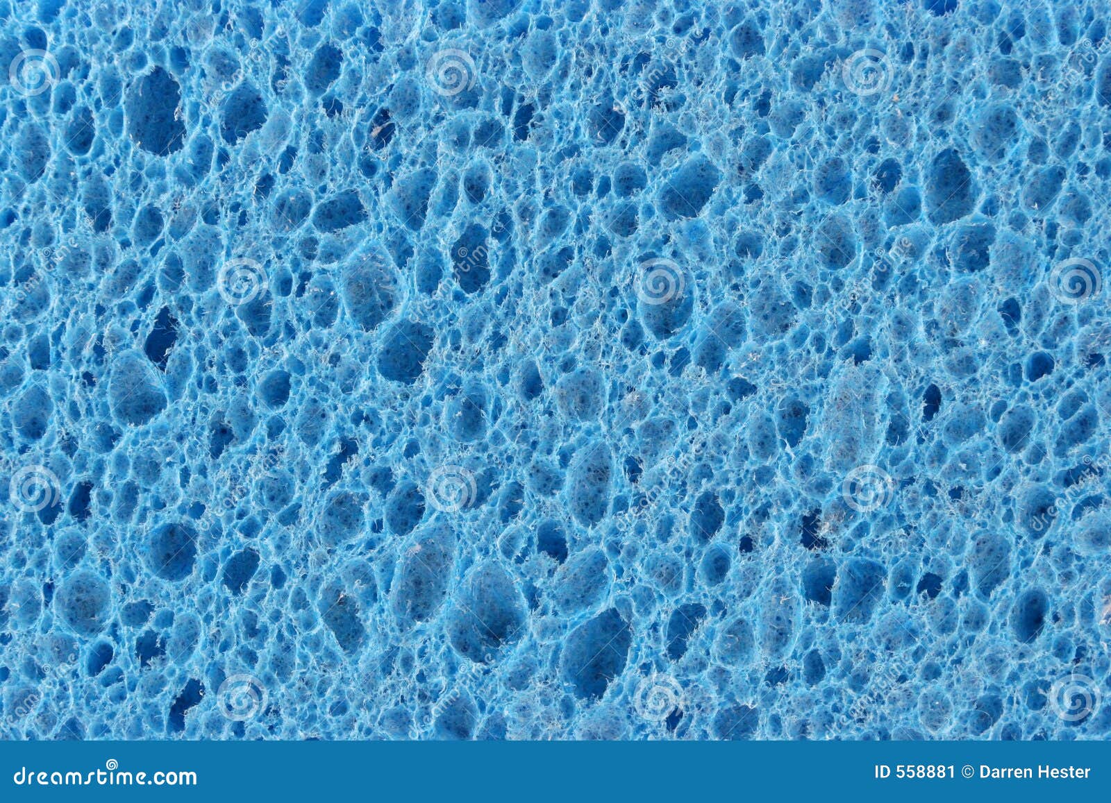 Sponge Texture stock image. Image of supply, supplies, clean - 558881
