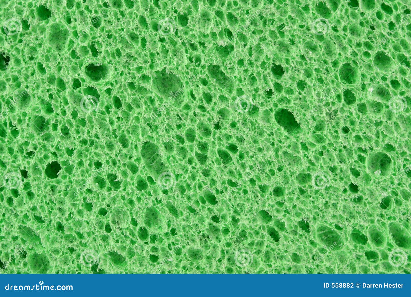 Sponge Texture Stock Photography - Image: 558882