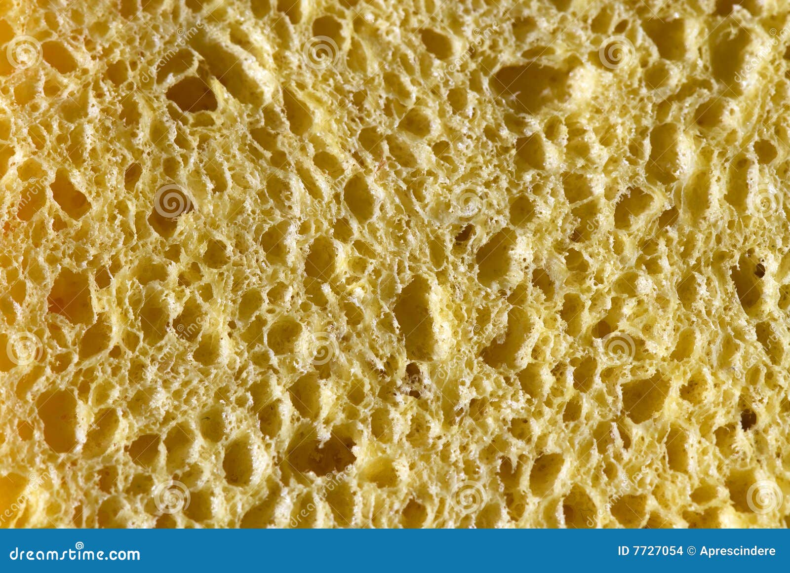 Sponge Texture Stock Images - Image: 7727054