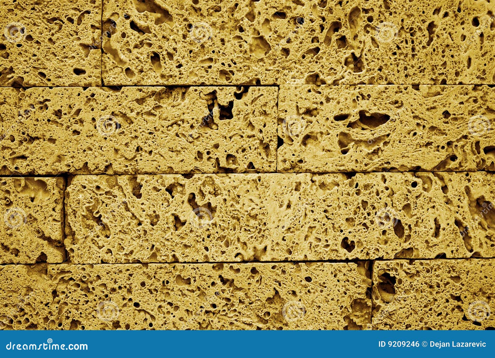 Sponge texture stock photo. Image of background, backdrop - 9209246
