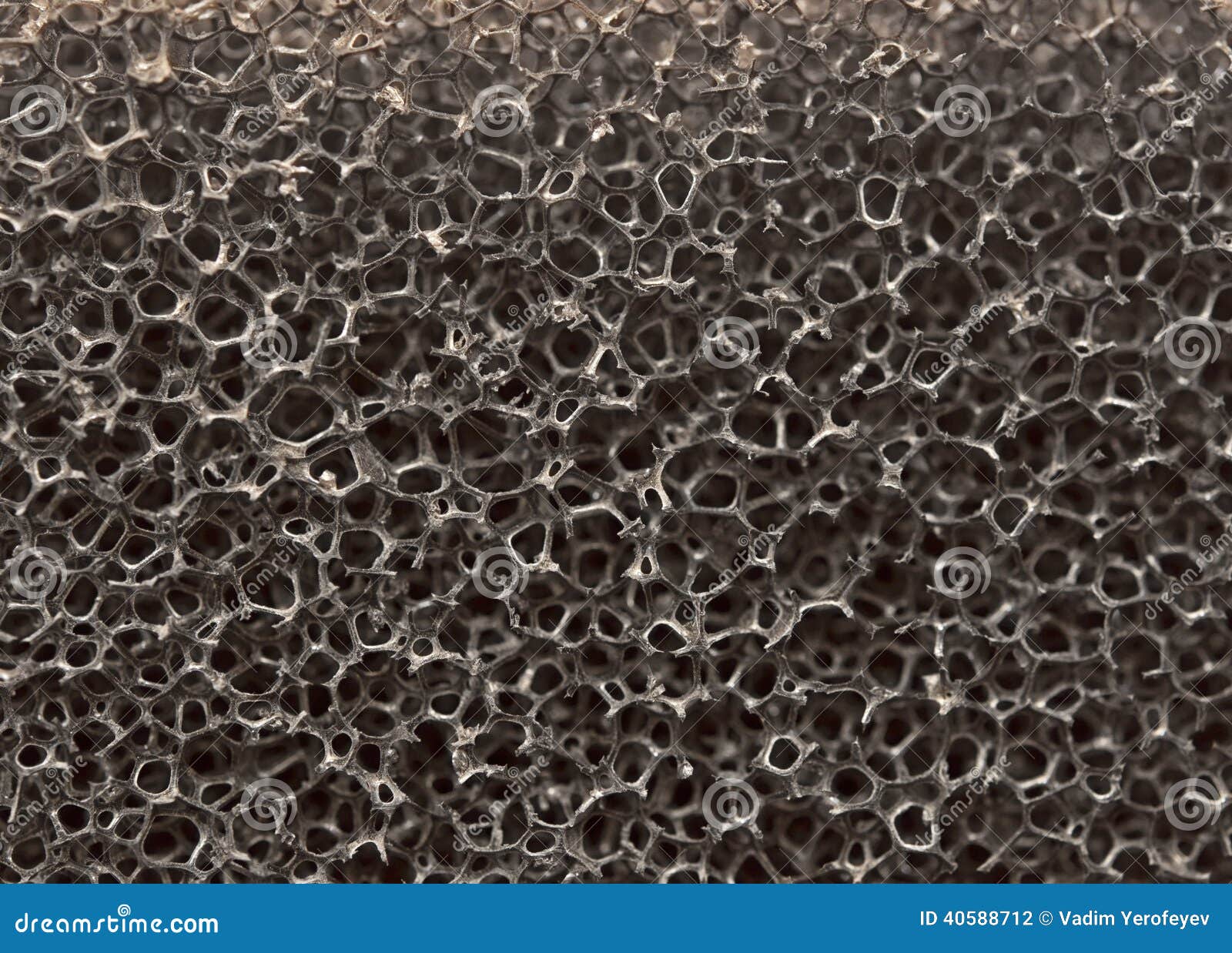 Sponge Texture For Background Stock Photography | CartoonDealer.com ...