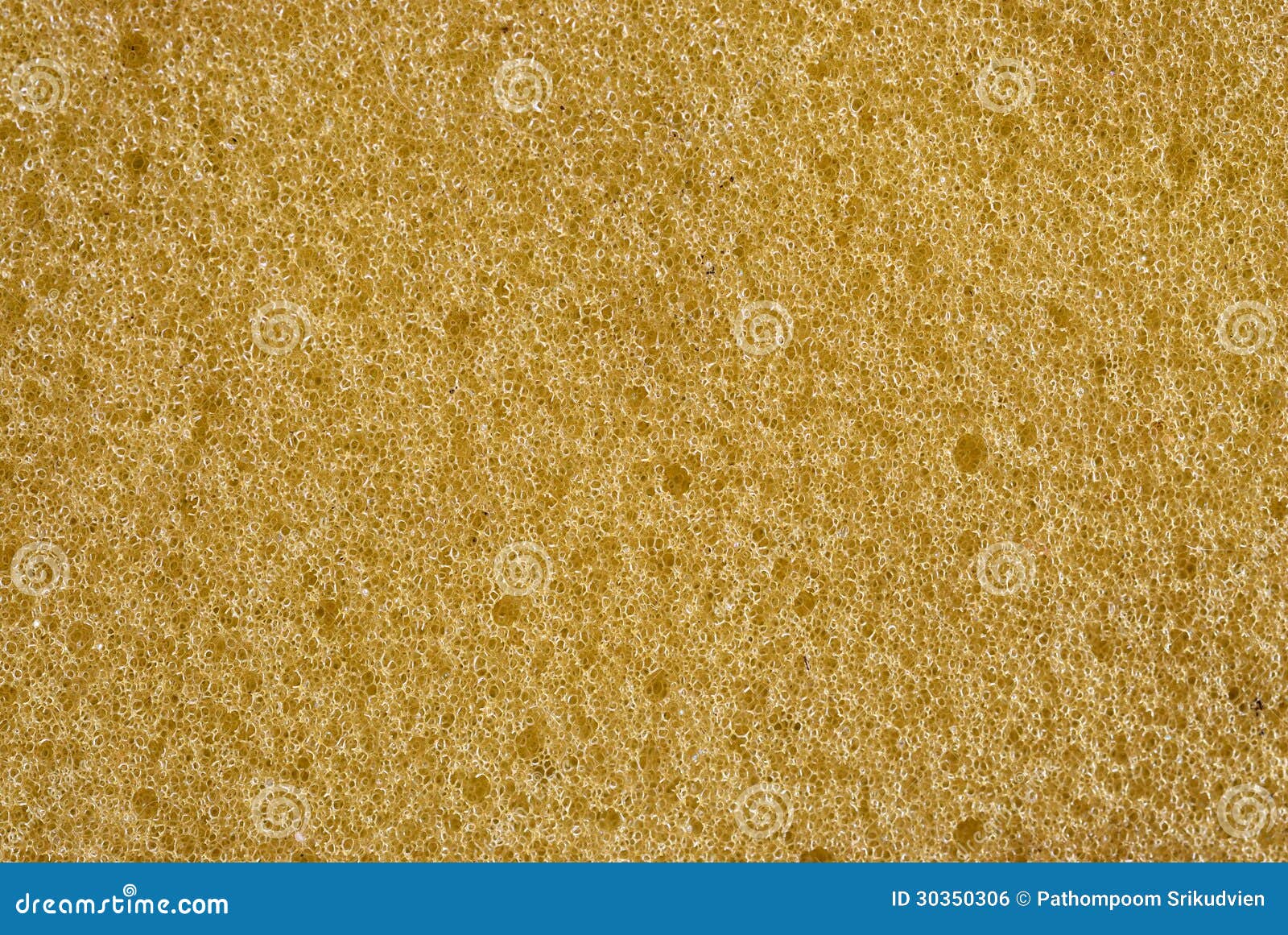 Sponge texture background stock photo. Image of care - 30350306