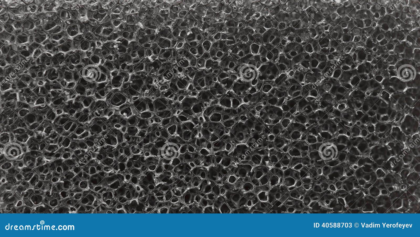 Sponge Texture for Background Stock Image - Image of texture, sponge ...