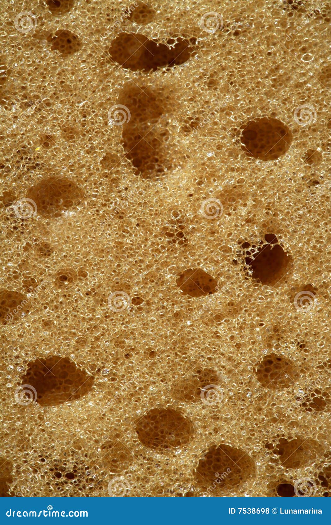 Sponge Texture Background, Macro Detail of Surface Stock Photo - Image ...