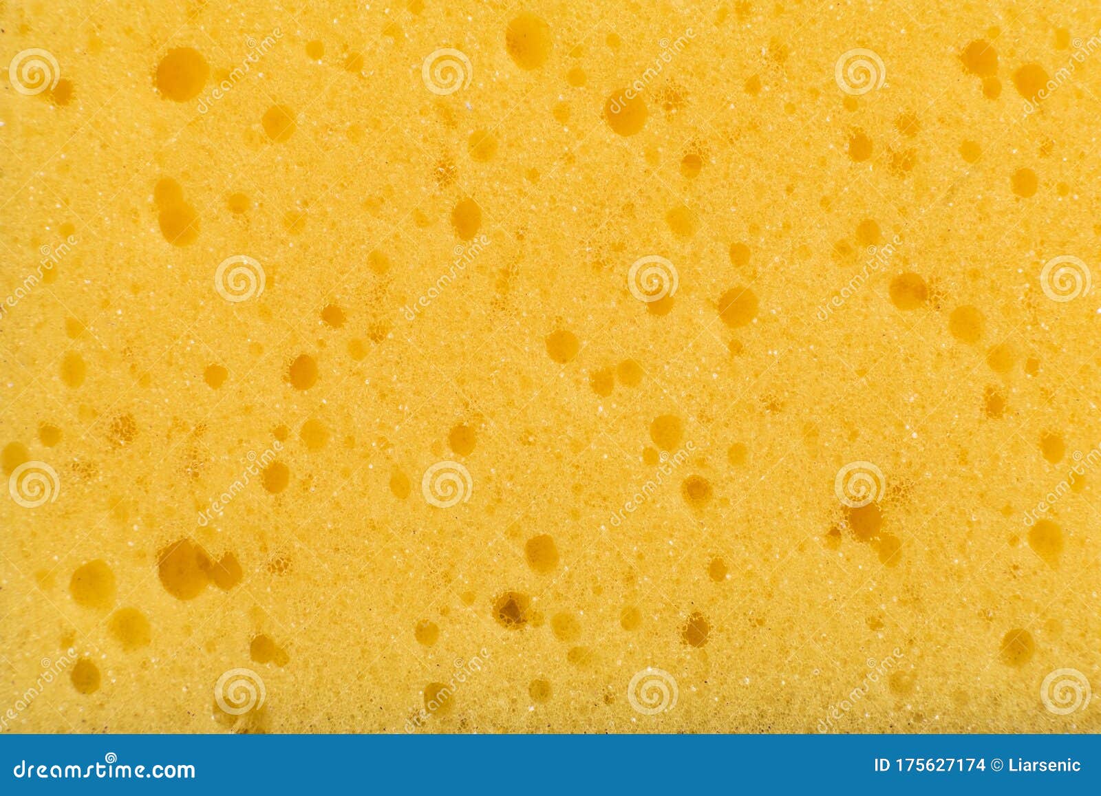 Sponge texture background. stock photo. Image of abstract - 175627174