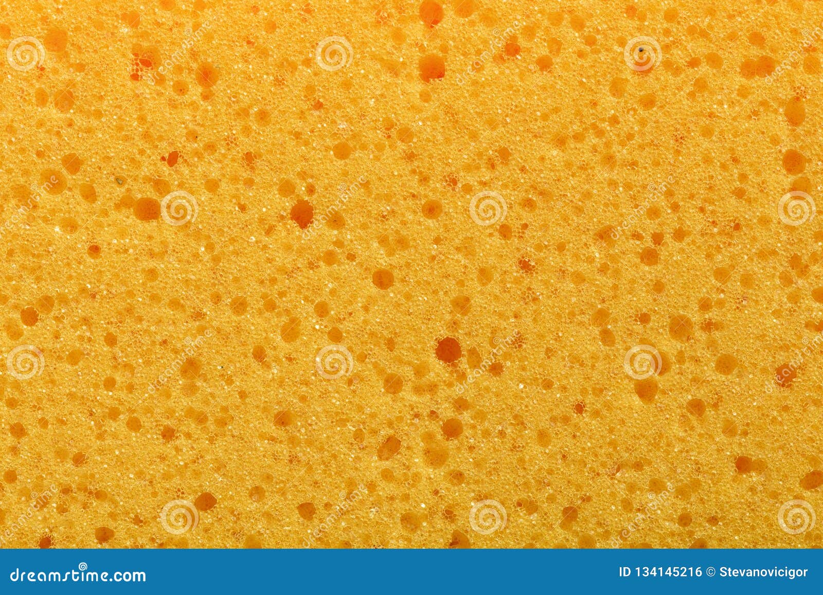 Sponge texture stock photo. Image of hygiene, abstract - 134145216