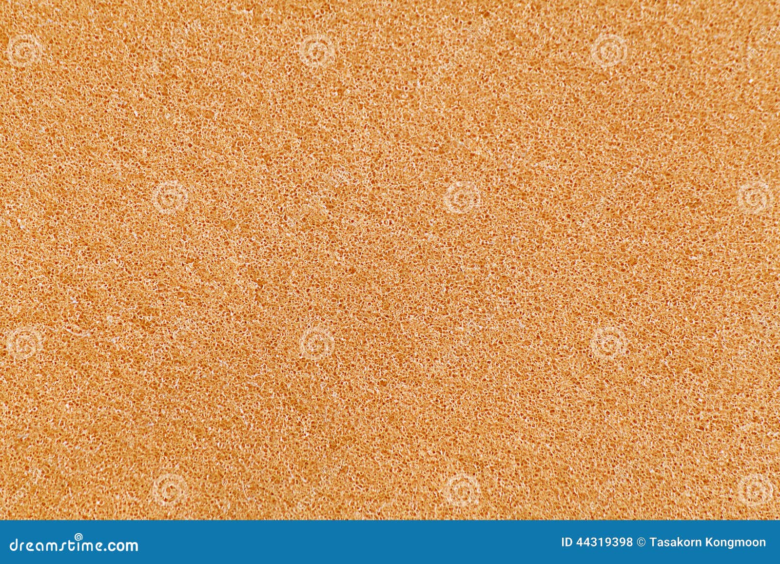 Sponge Texture for Pattern and Background Stock Photo - Image of ...