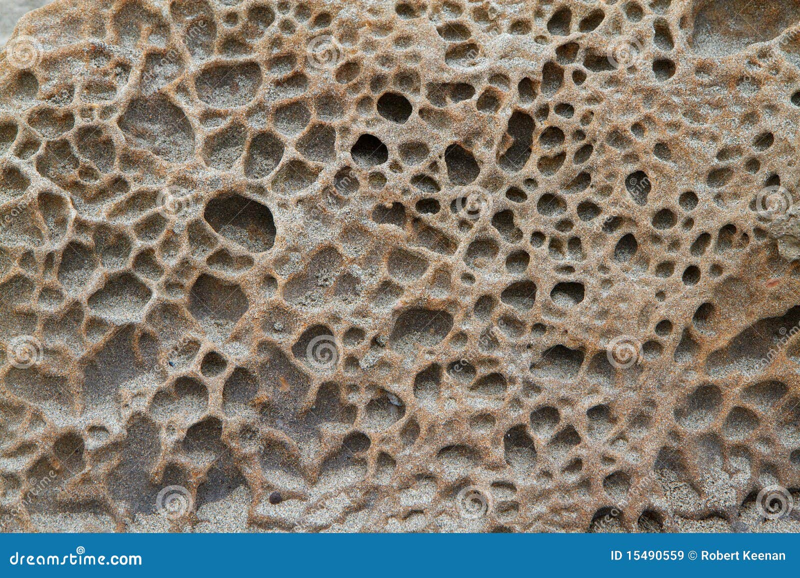 Sponge Texture Stock Image | CartoonDealer.com #28208311