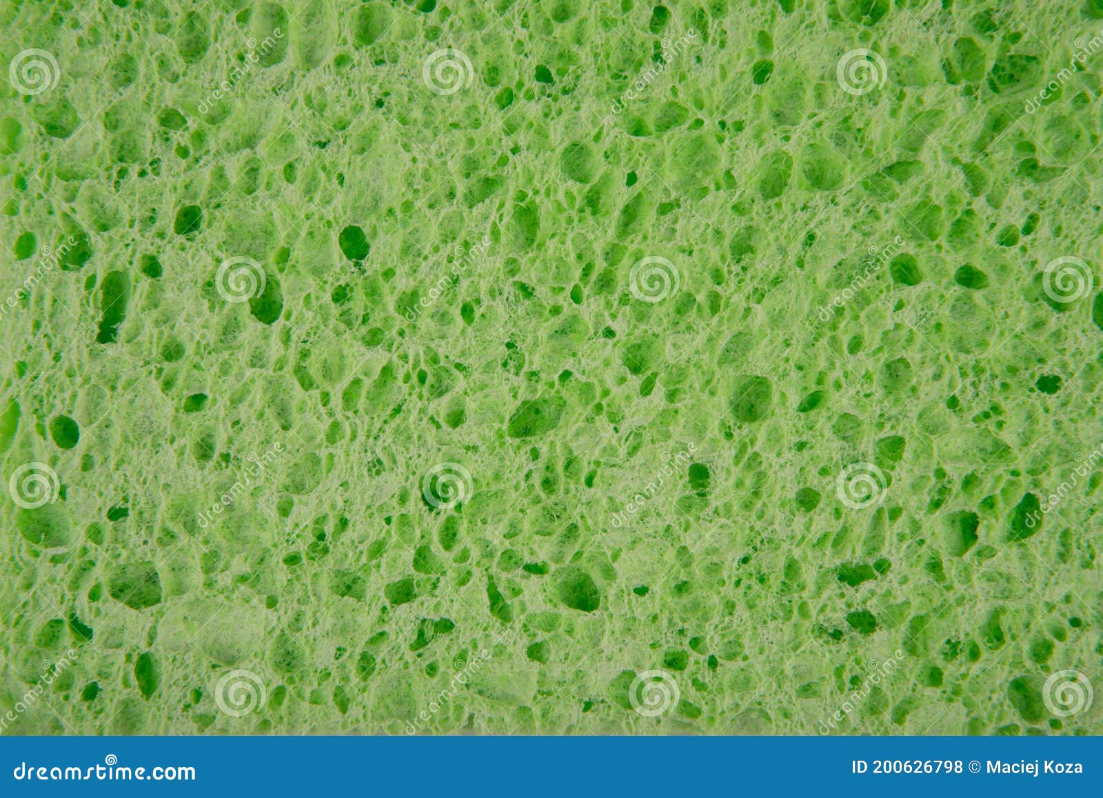 Sponge Texture - Structure of a Green Sponge Stock Photo - Image of ...